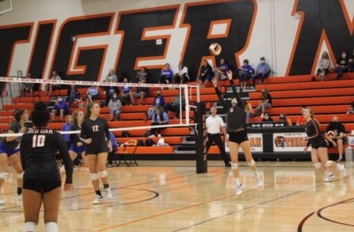 Top Setters from Harlan Tourney! | Prep Dig