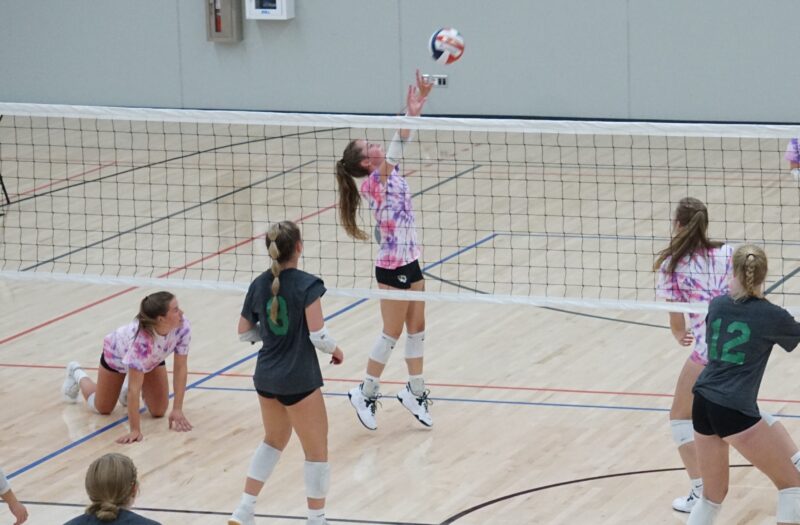 Saturday Match to Watch: Olympia vs La Conner | Prep Dig