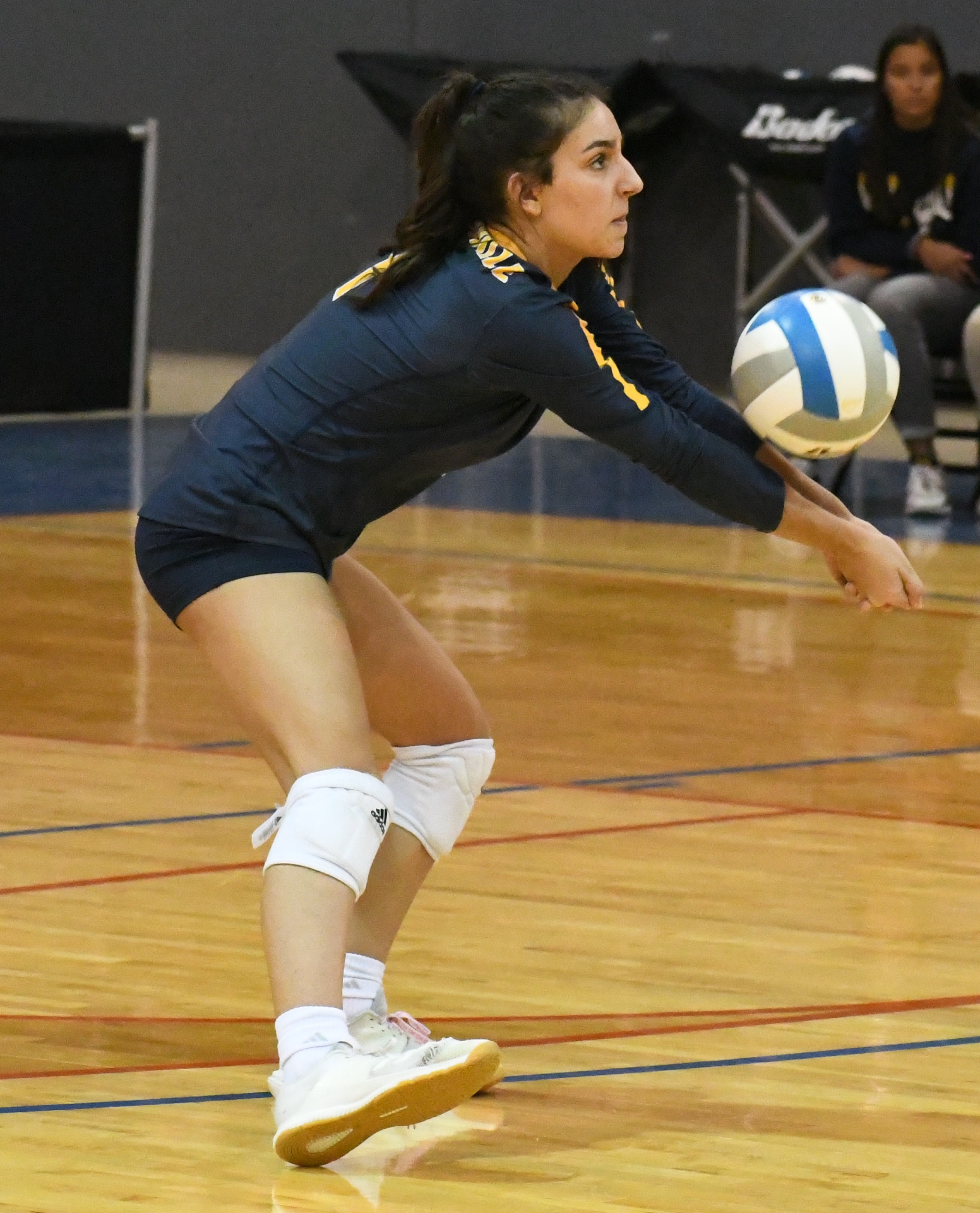 Regional Semi-Finals to Watch in Division 1 | Prep Dig