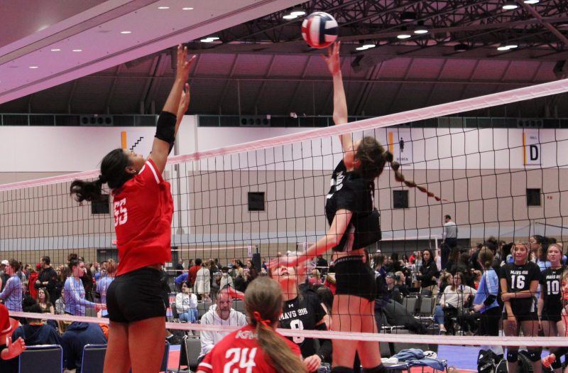 Triple Crown Roundtable Preview - Austin's Version | Prep Dig