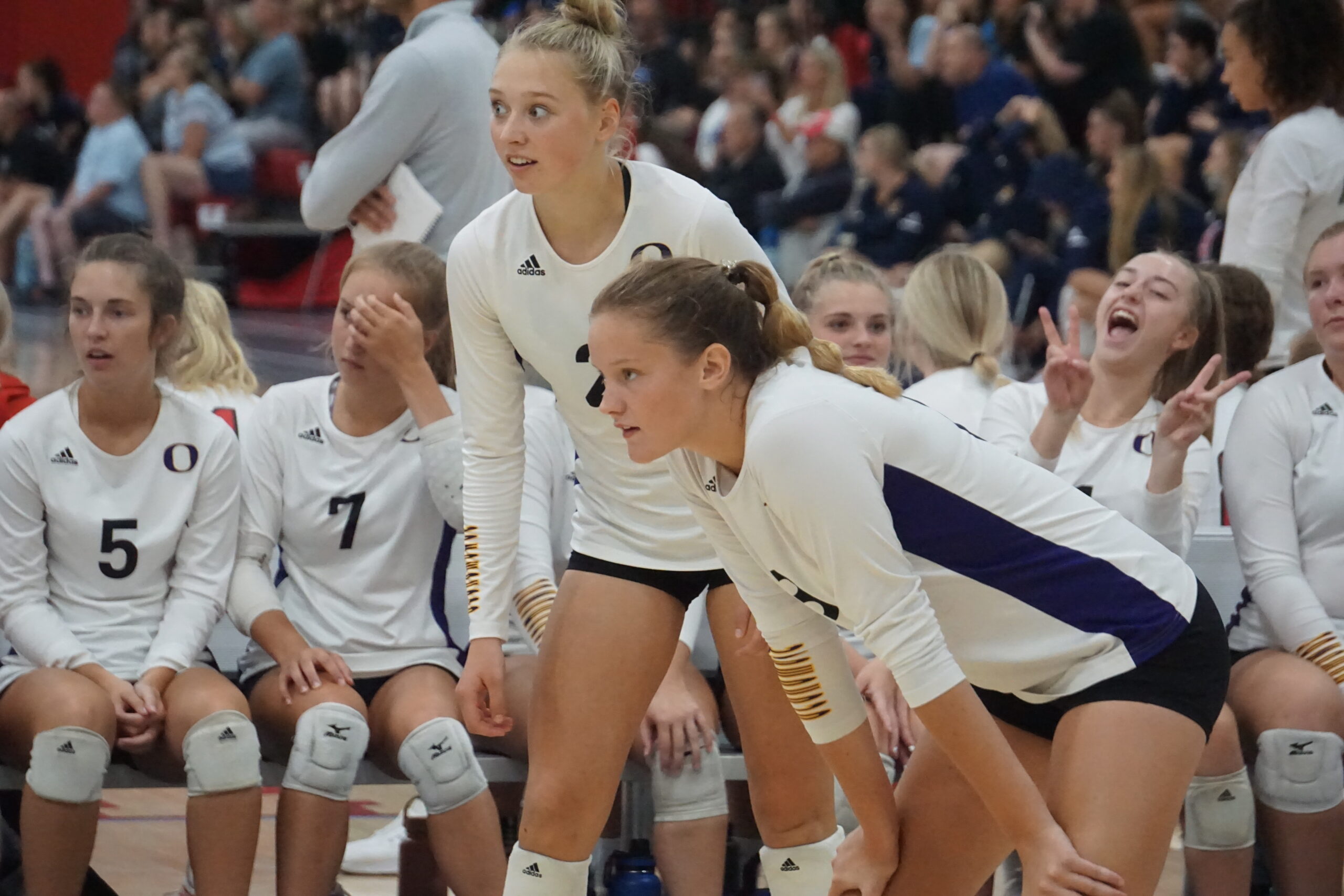 The Joust - Pool Previews and Predictions | Prep Dig