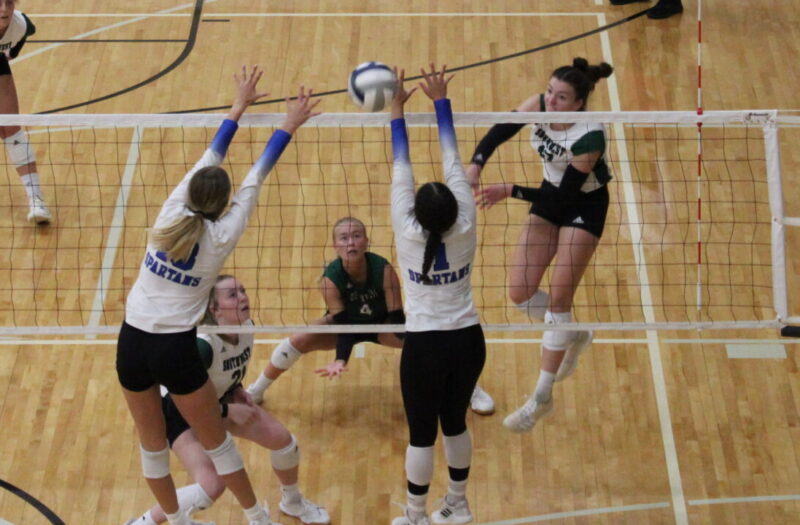 Breaking Down Top Pin Hitters in the LPS Classic Gold Bracket | Prep Dig