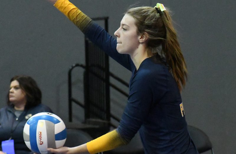 A Look at the Top 5 Setters in the 2024 Class: Michigan | Prep Dig