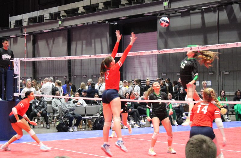 Triple Crown Stock Report: Ten 17U Teams on the Rise | Prep Dig