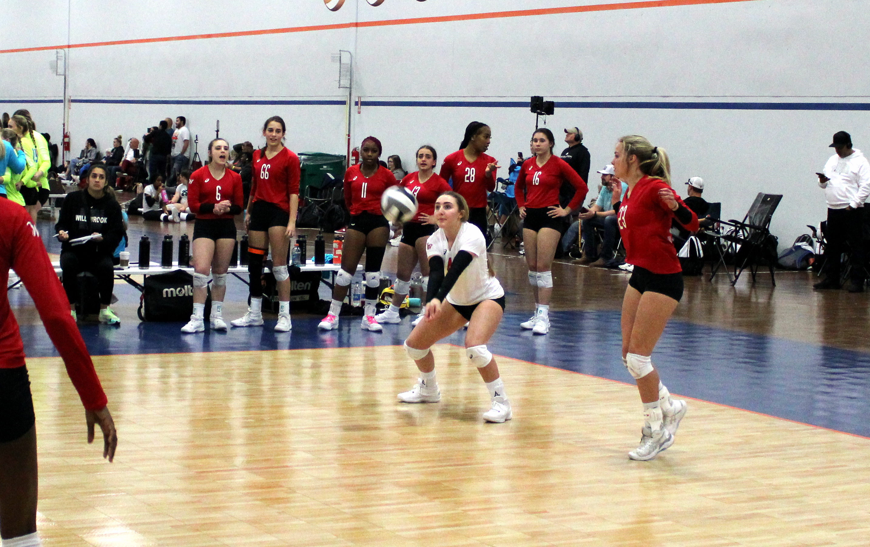 H-Town Showdown #2 - 17s - Liberos | Prep Dig