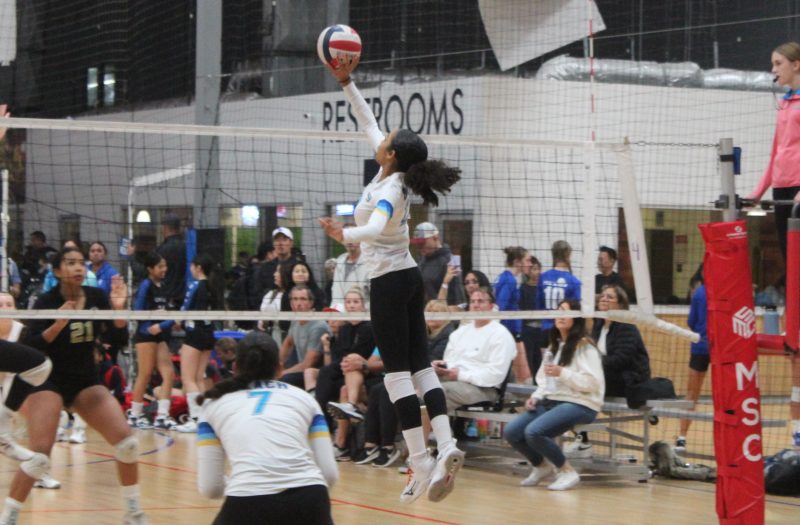 A Rare Glimpse At Players From 14s Part IV (Hitters) | Prep Dig