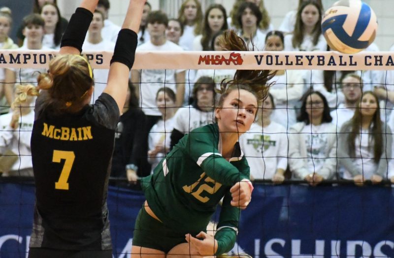 Top Vote Getters For D3 Player Of The Year | Prep Dig