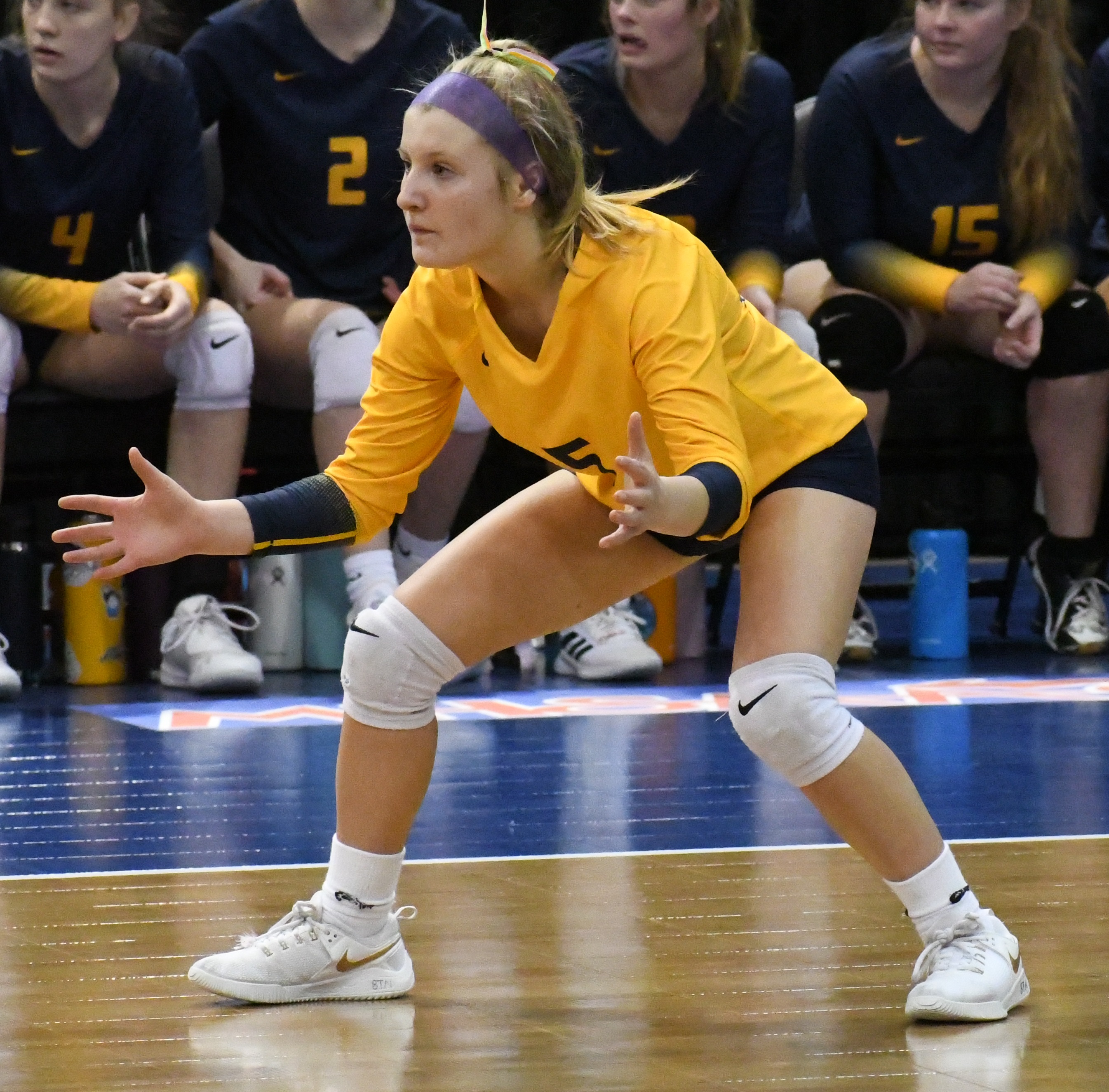 2023 D3 Preseason All-Prep Dig Michigan Team | Prep Dig