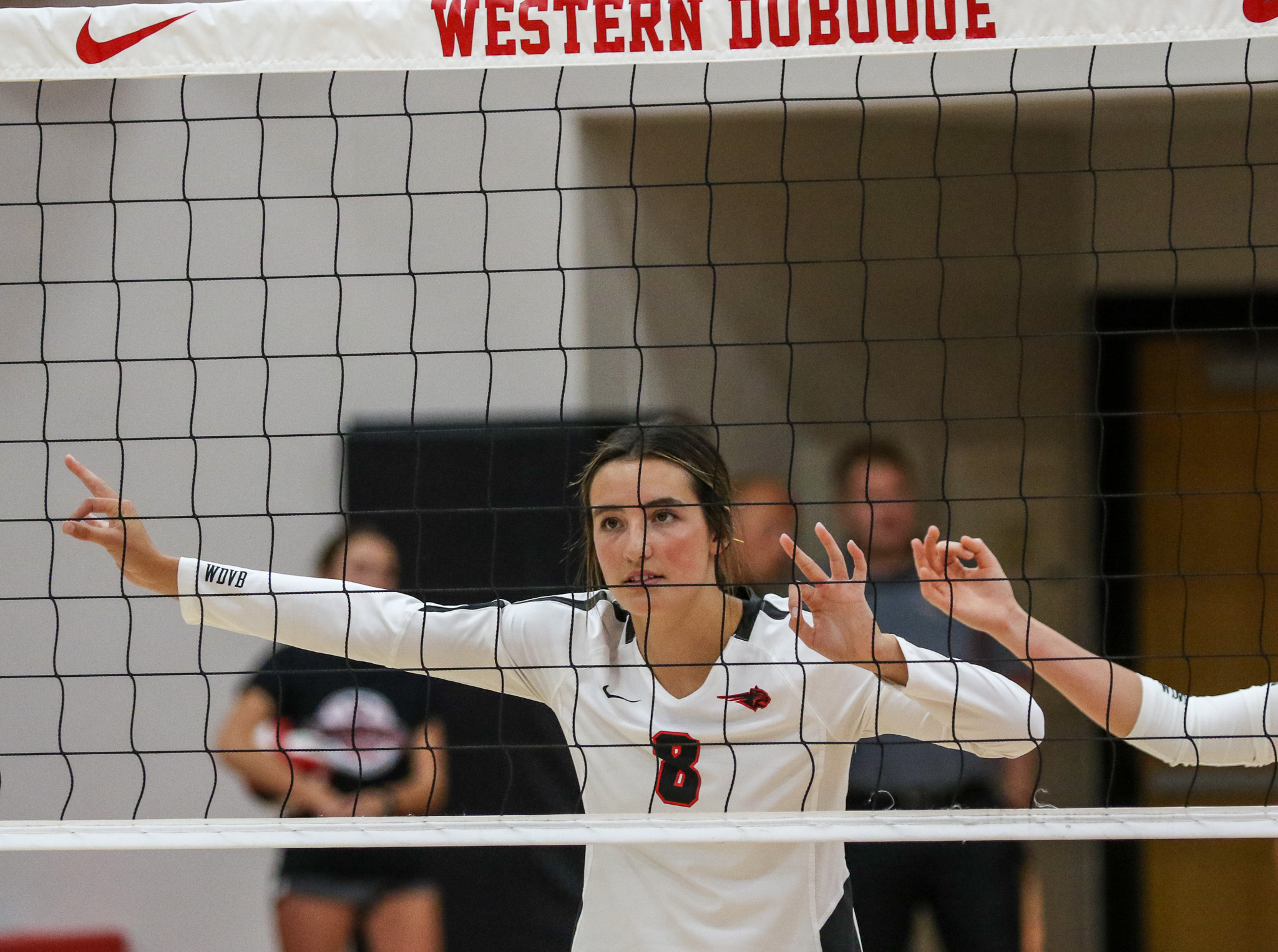 Scouting Report: Western Dubuque-City High | Prep Dig