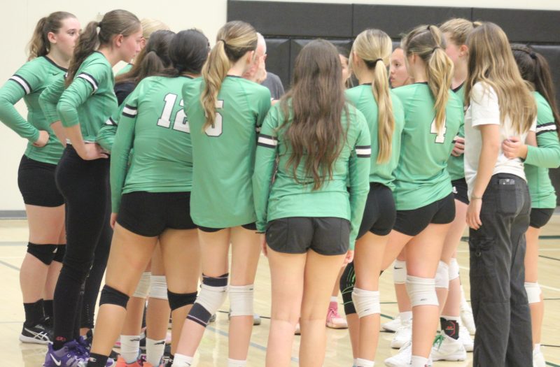 New Names This Season, Burros from Burroughs | Prep Dig