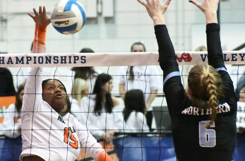Ann Arbor Area’s Top Underclassmen, Part 2 | Prep Dig
