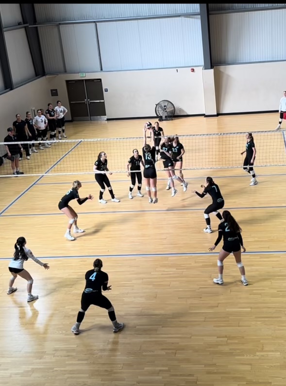 Court Highlights: Middles @ SCVA 16U Event #2 | Prep Dig
