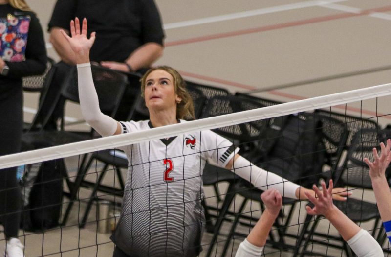 Minnesota High School Volleyball Coverage | Prep Dig