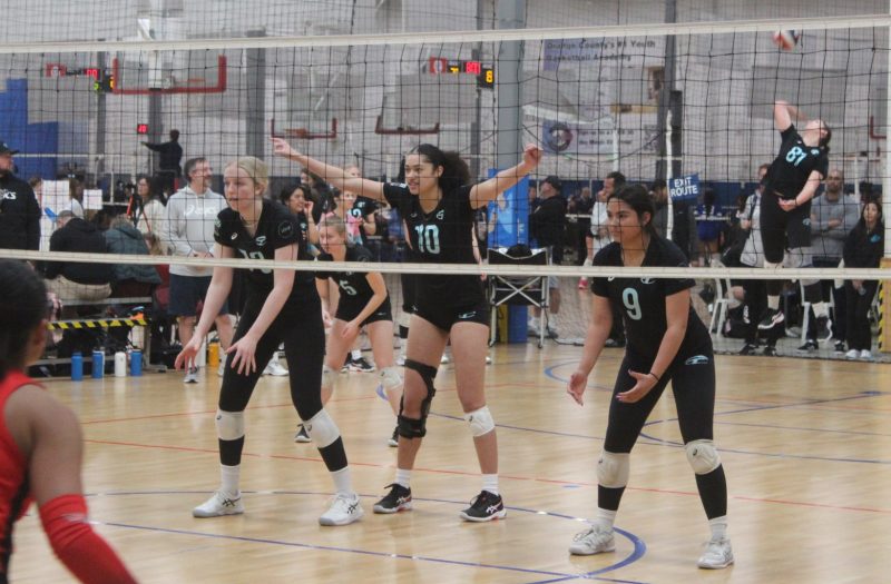 Unveiling the Dynamic Roles: Exploring Every Volleyball Position | Prep Dig
