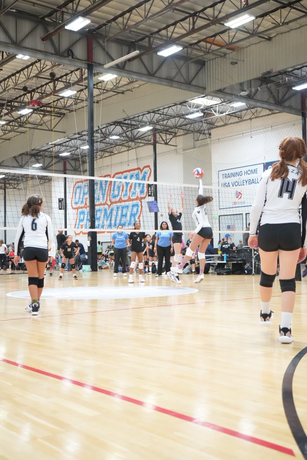 Holli Gordon, | Prep Dig