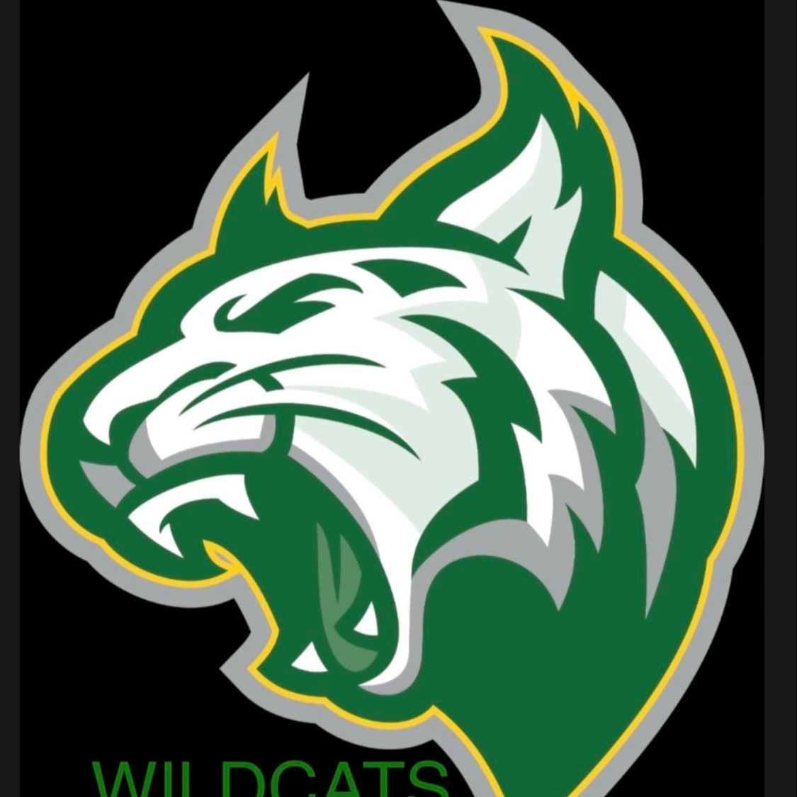 Adirondack | Prep Dig