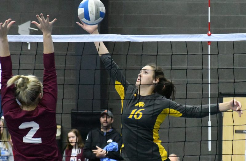 Michigan High School Volleyball Coverage | Prep Dig