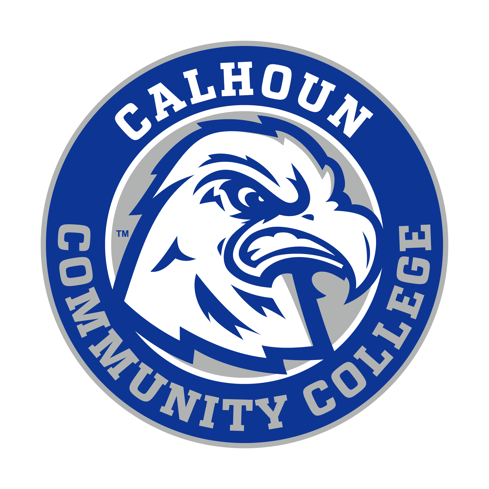 Calhoun CC Volleyball Commits | Prep Dig