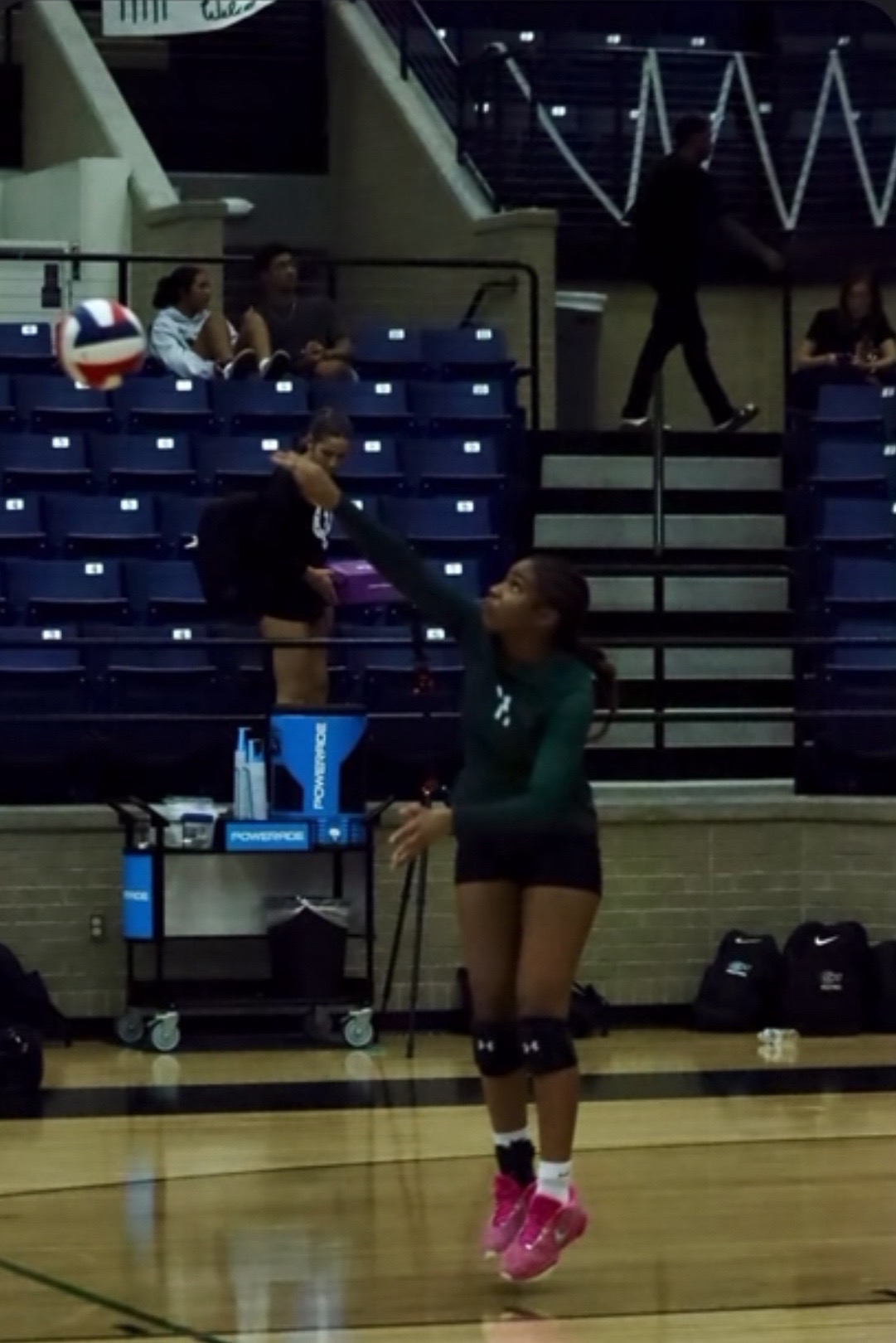 Erin Walker, Lake Ridge | Prep Dig