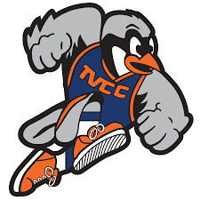 Treasure Valley Volleyball Commits | Prep Dig