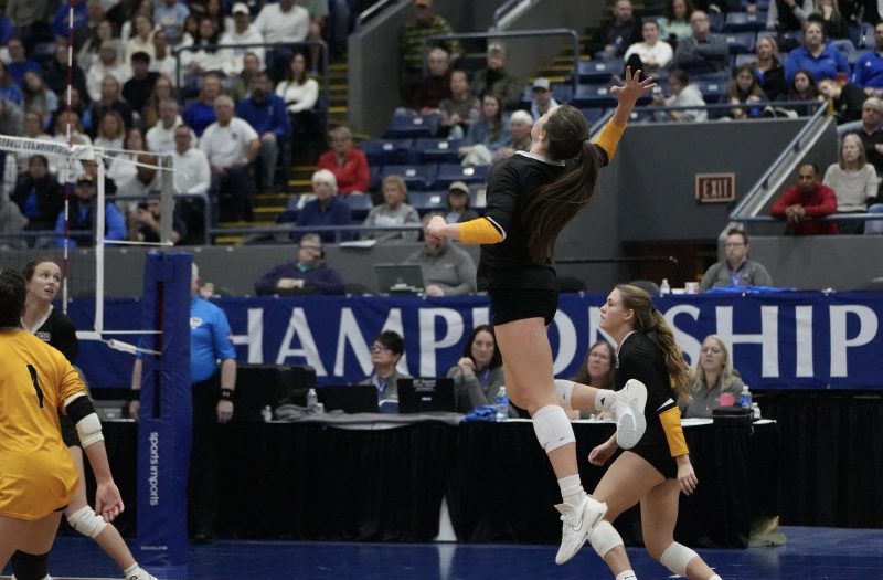 2024 MHSAA Division IV All-Tournament Dream Team | Prep Dig