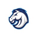 Centennial Baptist | Prep Dig