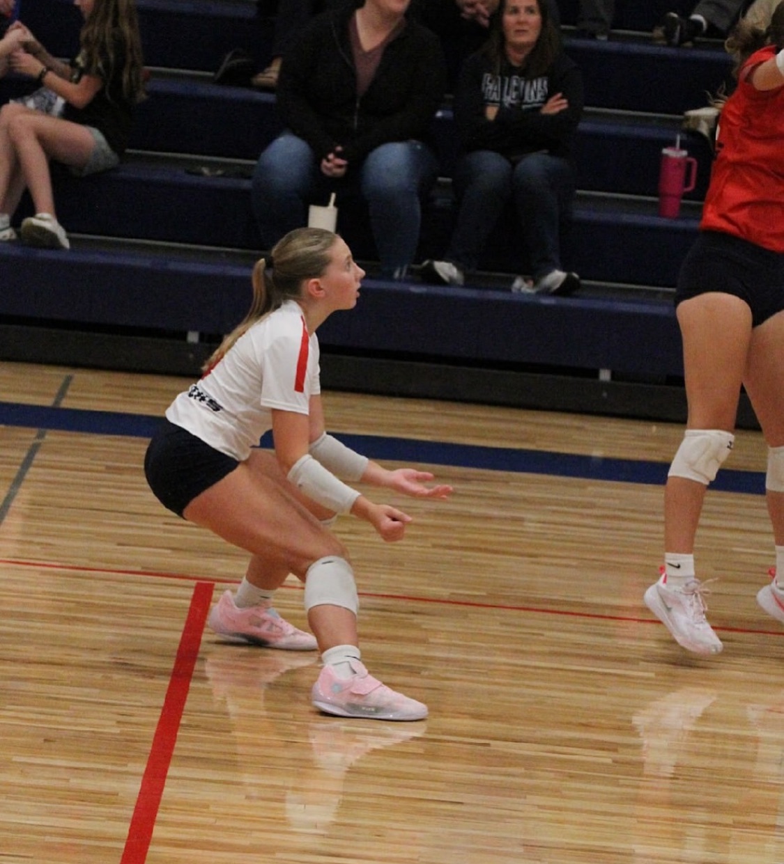 Minnesota High School Volleyball Coverage | Prep Dig