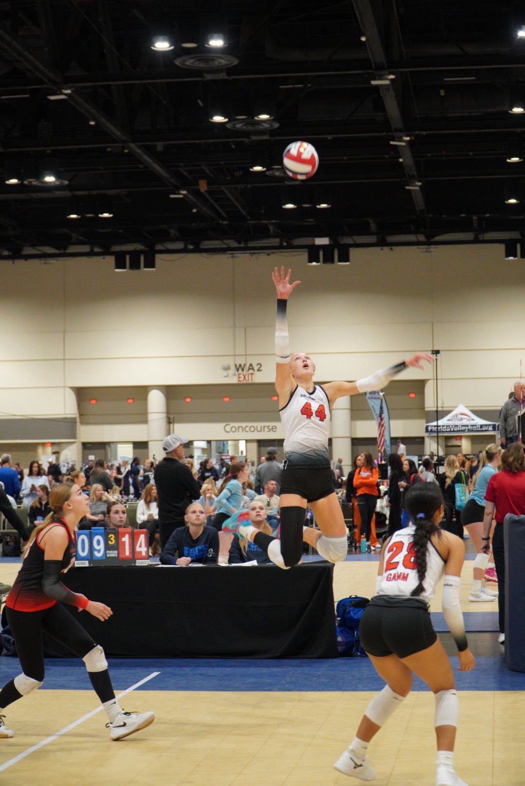 Built for the Moment: Pacesetting 15s lead the way at FL Gold | Prep Dig