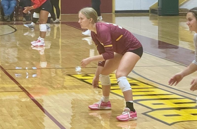 BAM Volleyball Club 17, 15 Pink Team Profiles | Prep Dig