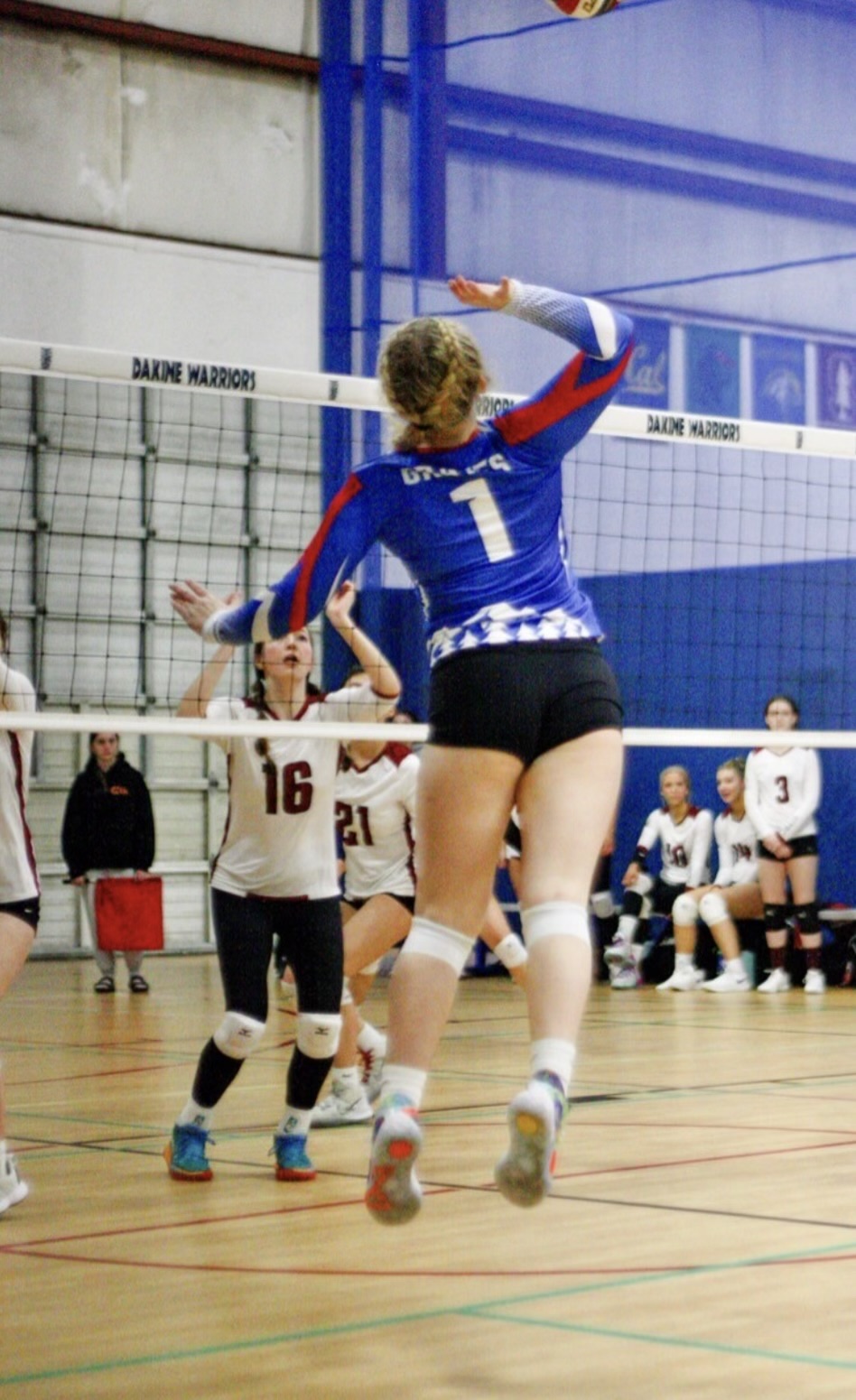 Harper Graves, West Albany | Prep Dig