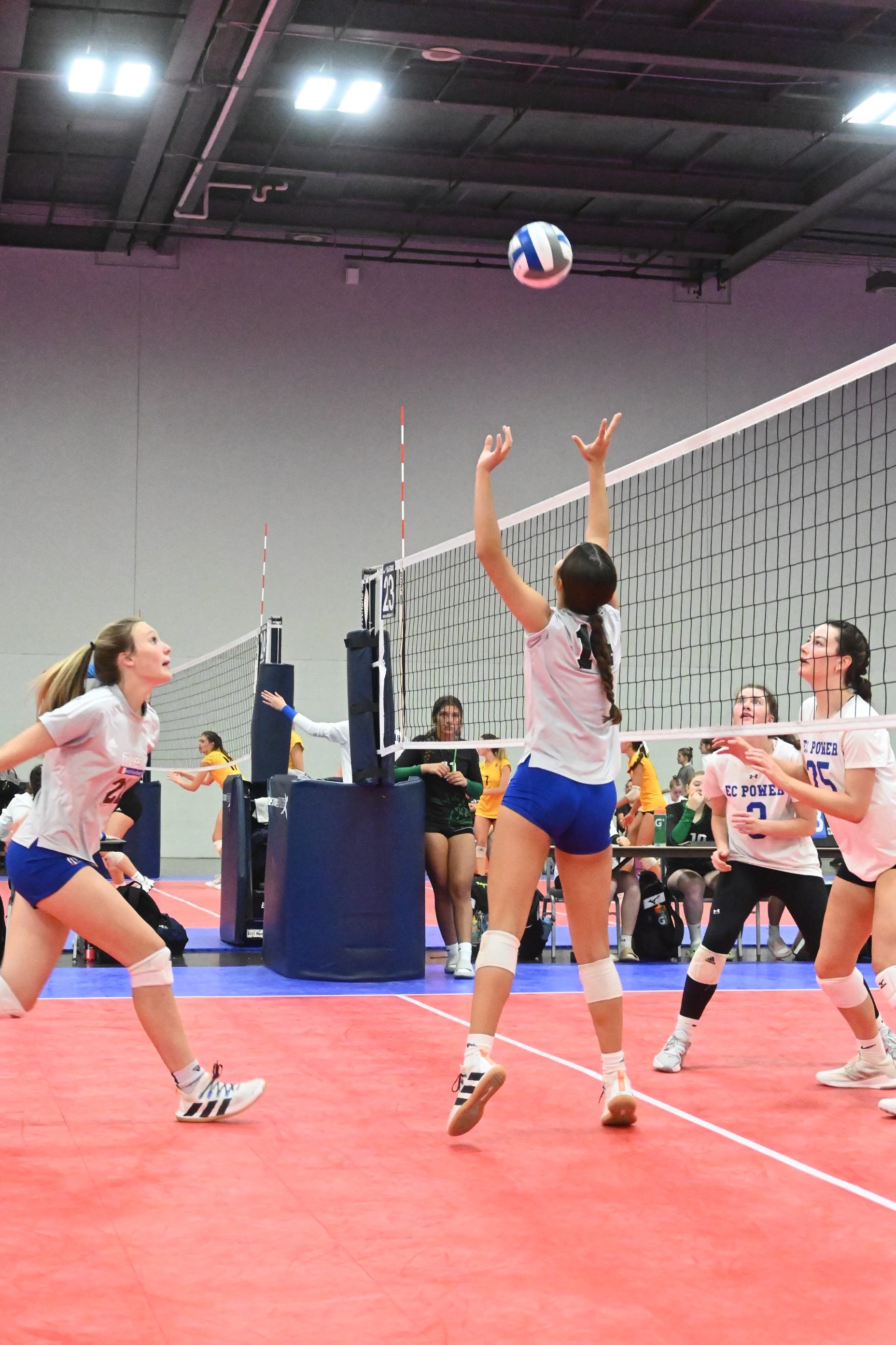 Allison Rutledge, Lapeer | Prep Dig