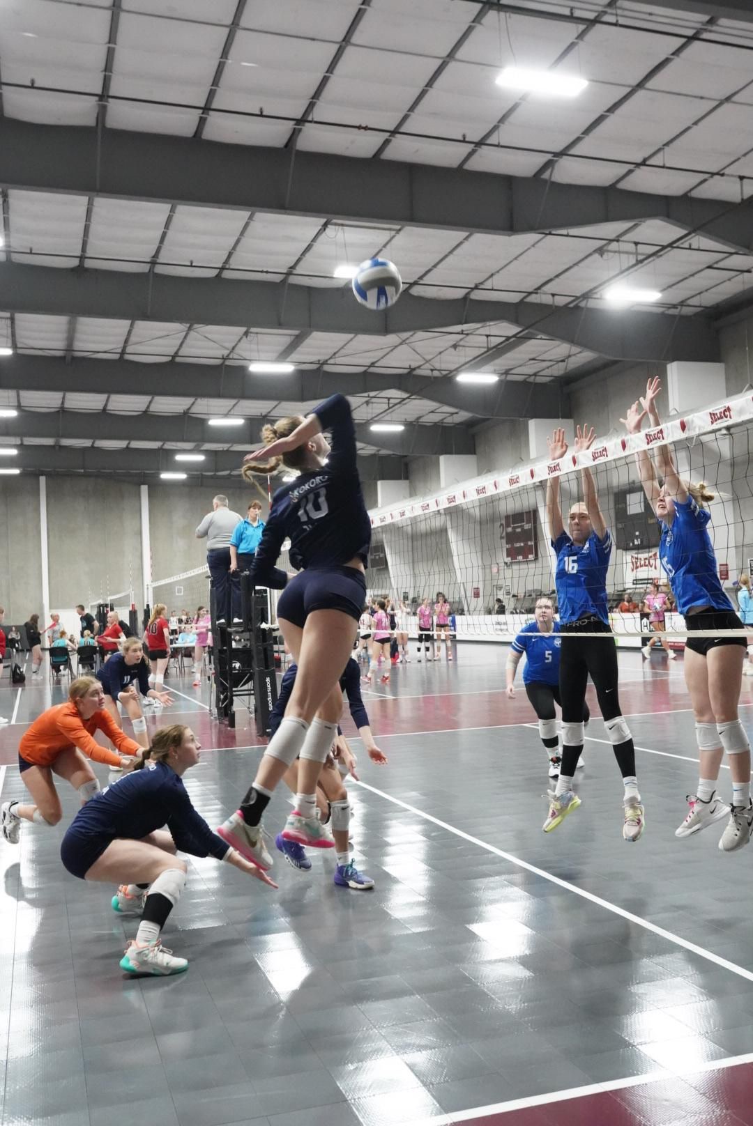 Maddy Range, River Falls | Prep Dig