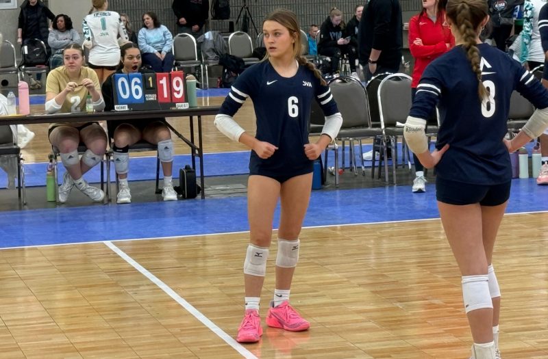 Alpha Performance Volleyball 16 teams overview | Prep Dig