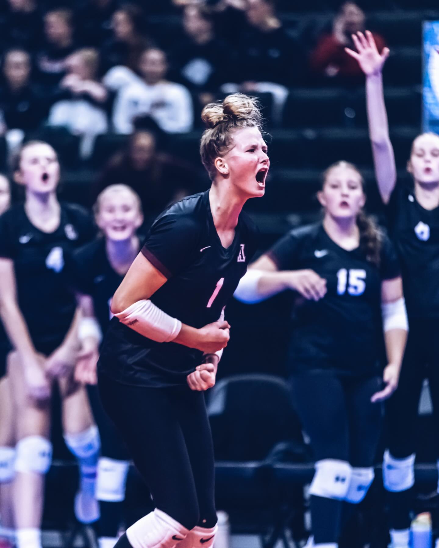 Minnesota High School Volleyball Coverage | Prep Dig